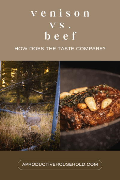 Venison Vs. Beef - Which Tastes Better? Our Family's Opinion - A ...