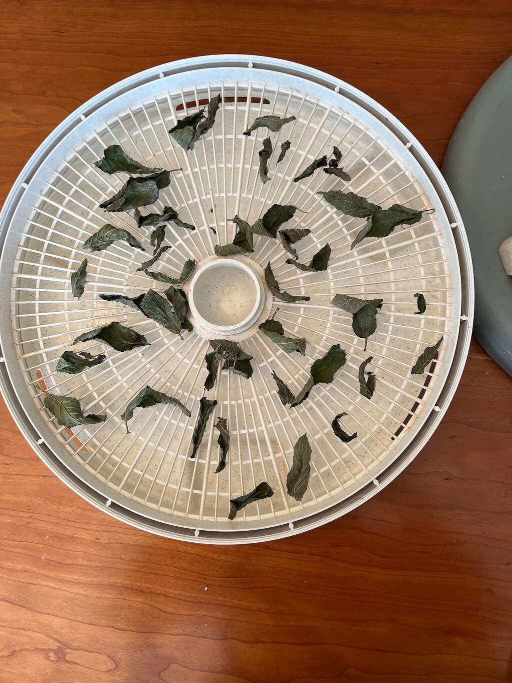 How to Dry Mint Leaves for Tea - 4 Easy Methods - A Productive Household