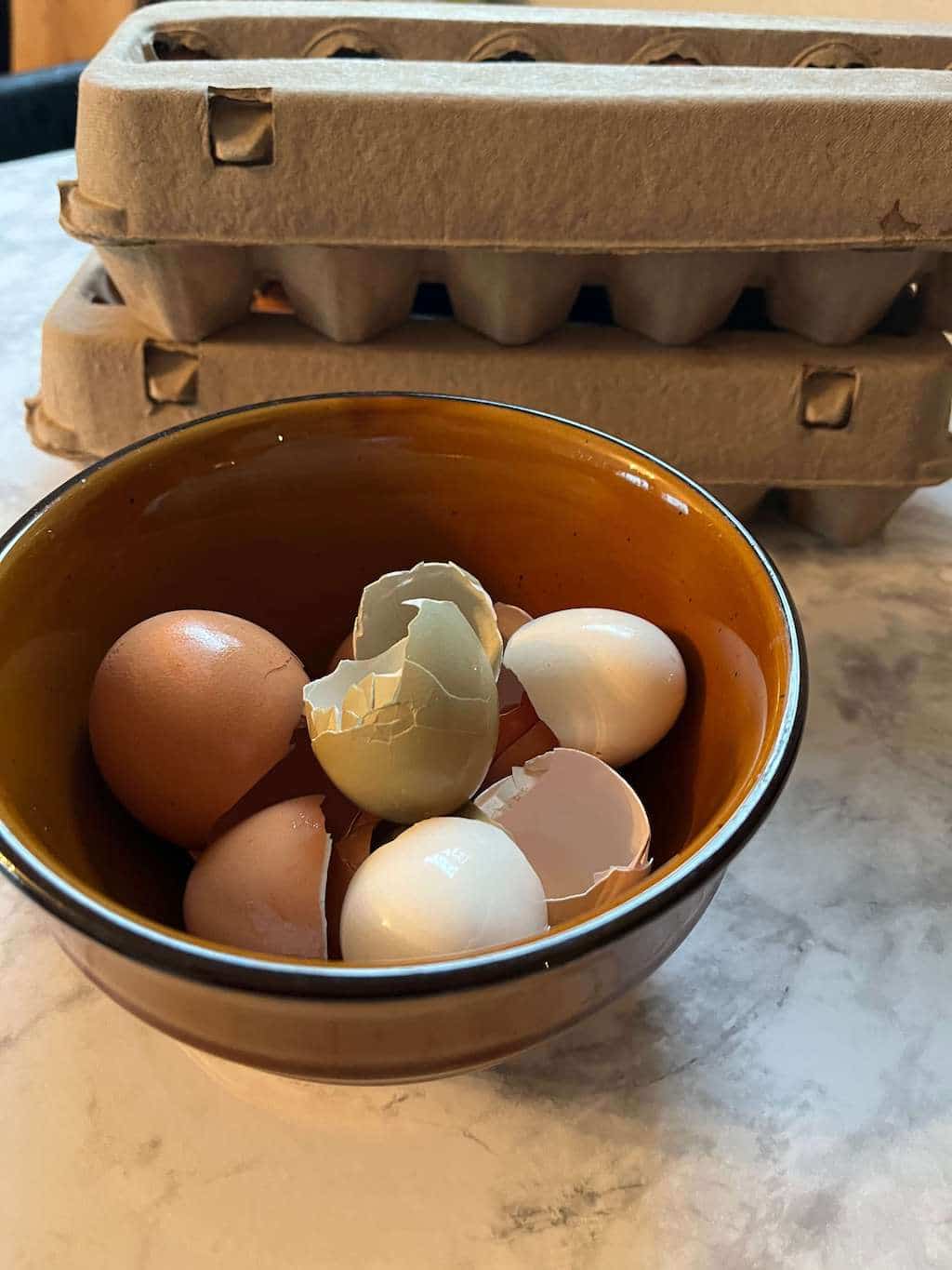Can You Compost Egg Shells? How to Make Use of Your Shells - A ...