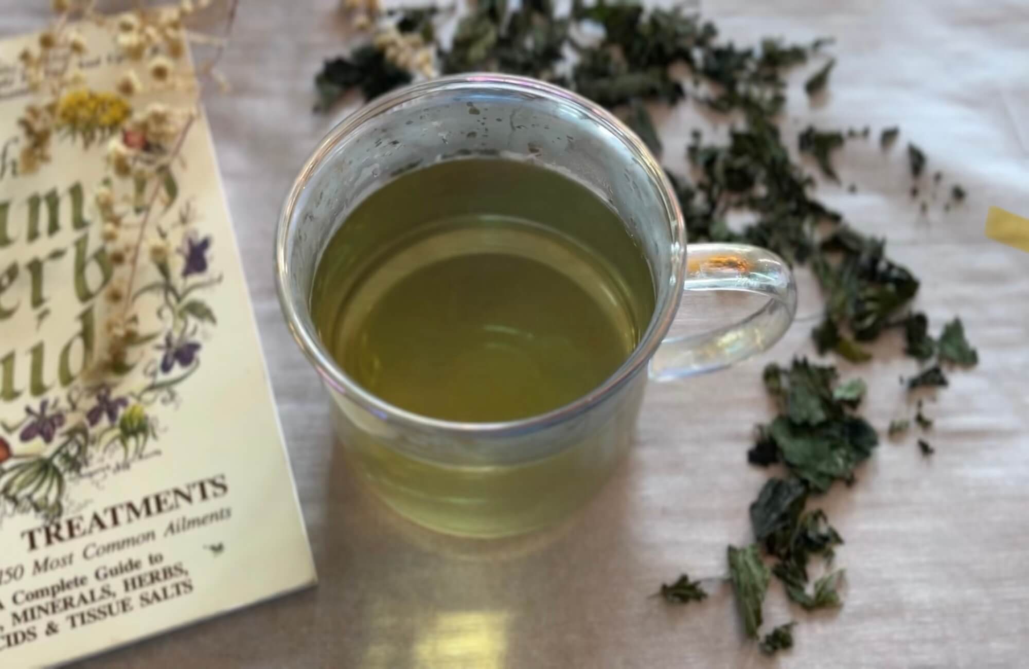 How to Make Nettle Tea - Recipe + Health Benefits of Nettles - A ...