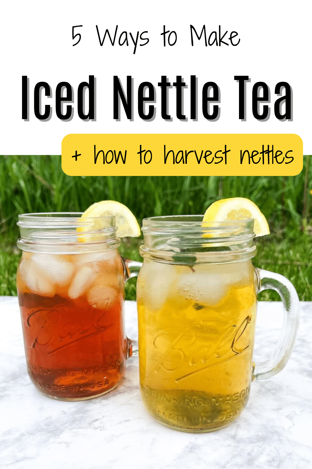 Iced Stinging Nettle Tea – 5 Refreshing Summer Recipes - A Productive ...